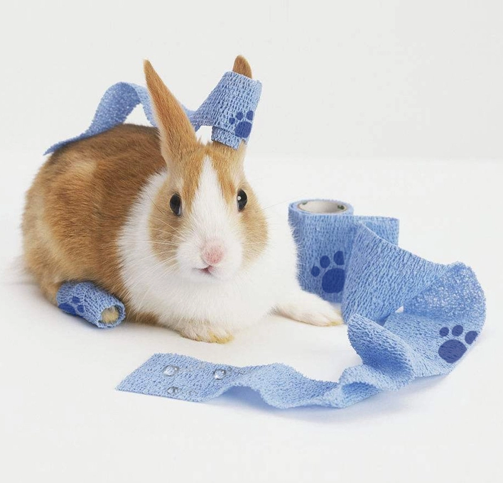 Paw Palz | Self Adhesive Pet Bandages